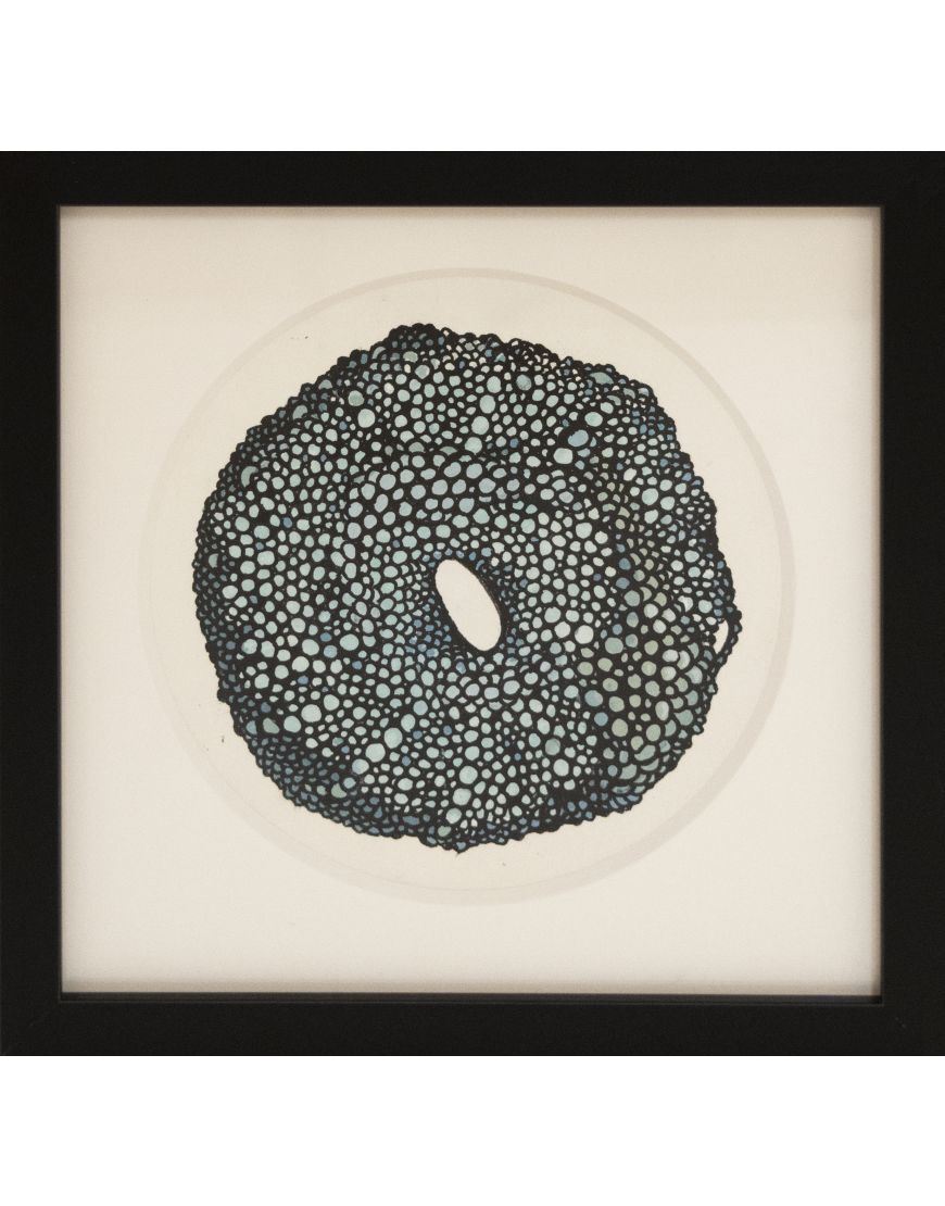 Microbo - The Lost Reign II